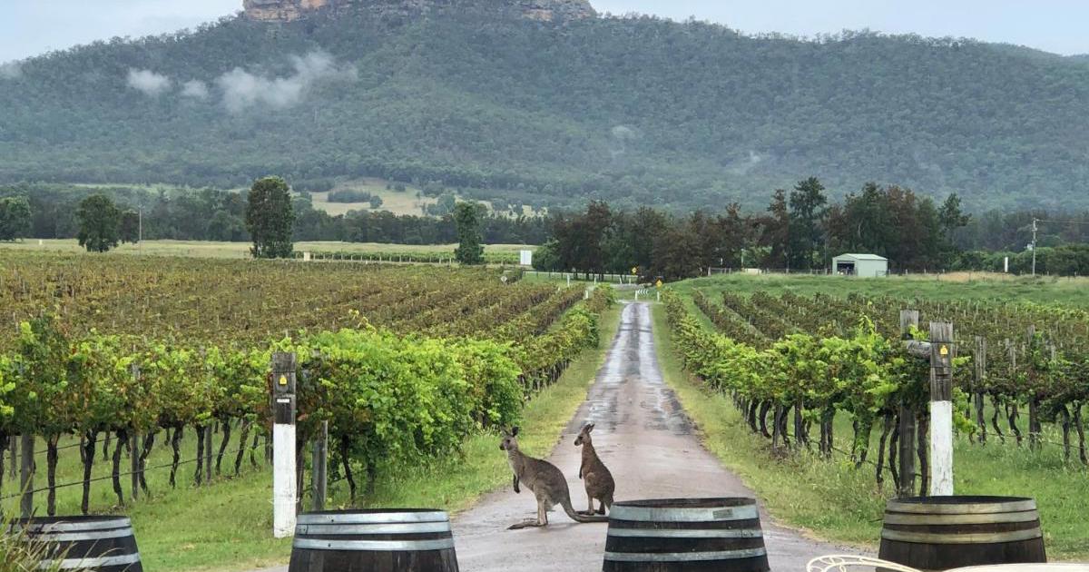 Nightingale Wines Cafe | Best Restaurants Australia