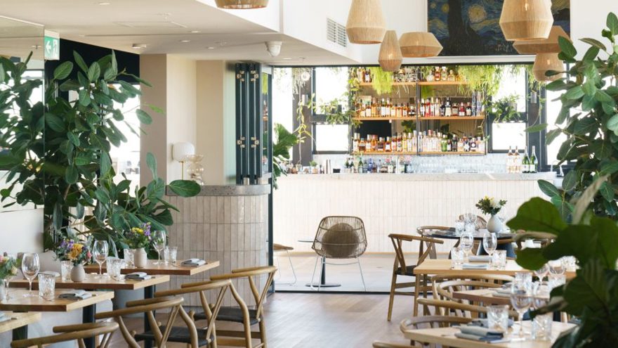 Folly Bar | Best Restaurants of Australia