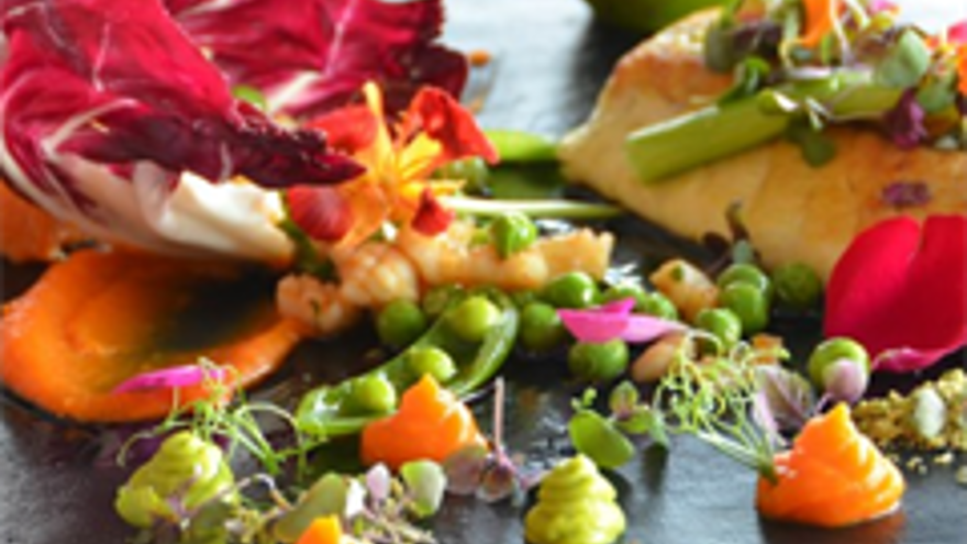 Maple Tree | Best Restaurants of Australia