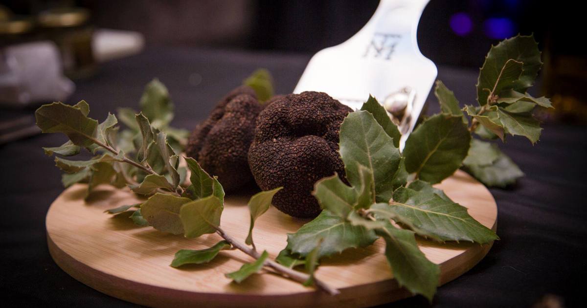 The Ultimate Truffle Tour at Queen Victoria Markets | Best Restaurants ...
