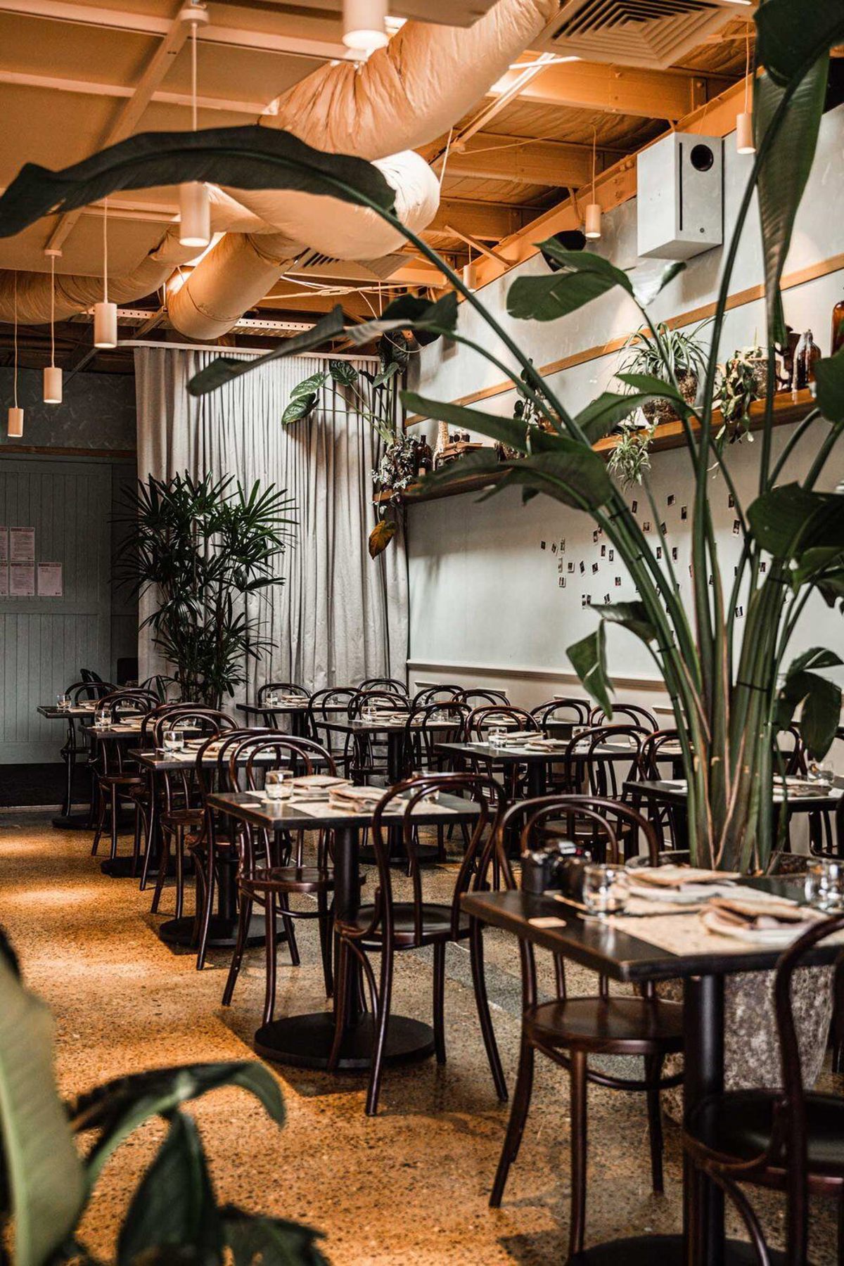 Tetto Rooftop Bar | Best Restaurants Australia