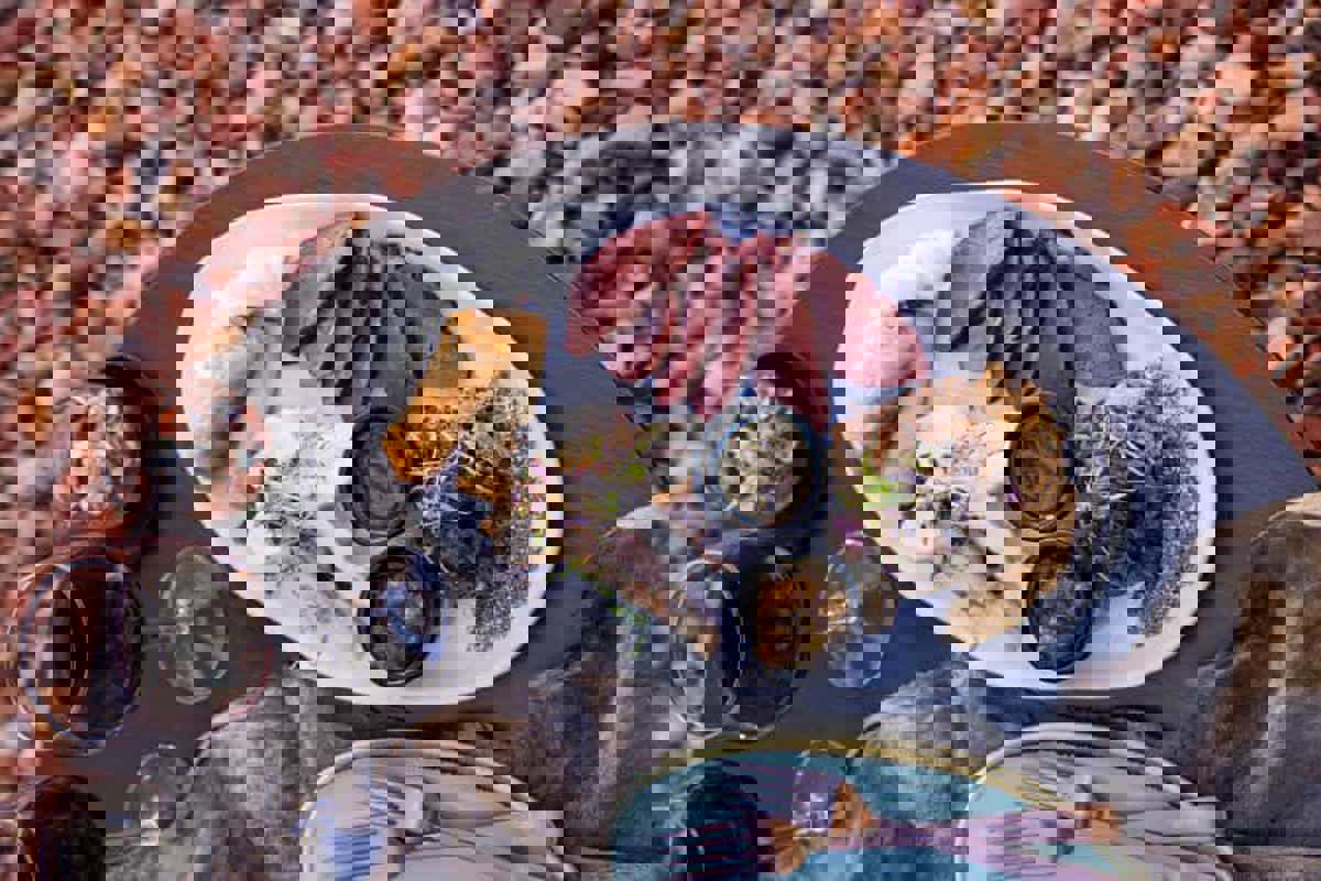 Saltbush at DoubleTree Hilton Alice Springs | Best Restaurants of Australia