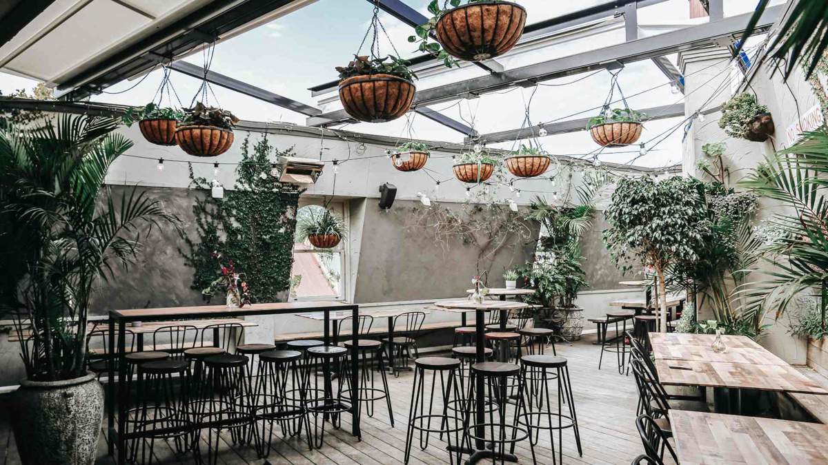 Elm Rooftop Bar at The Taphouse | Best Restaurants of Australia