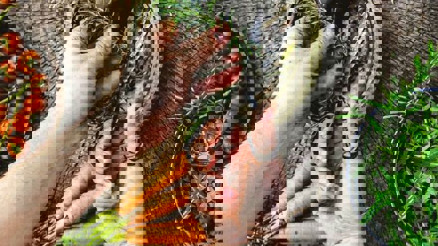 The Feasting Shed @The Garden Feast | Best Restaurants of Australia