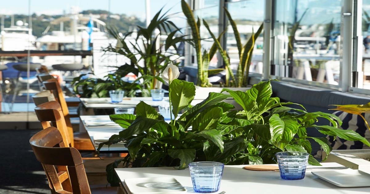 Regional Dinner Series 2025 at Chiosco by Ormeggio | Best Restaurants ...