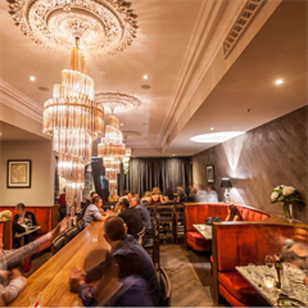 The Propaganda Club | Best Restaurants of Australia