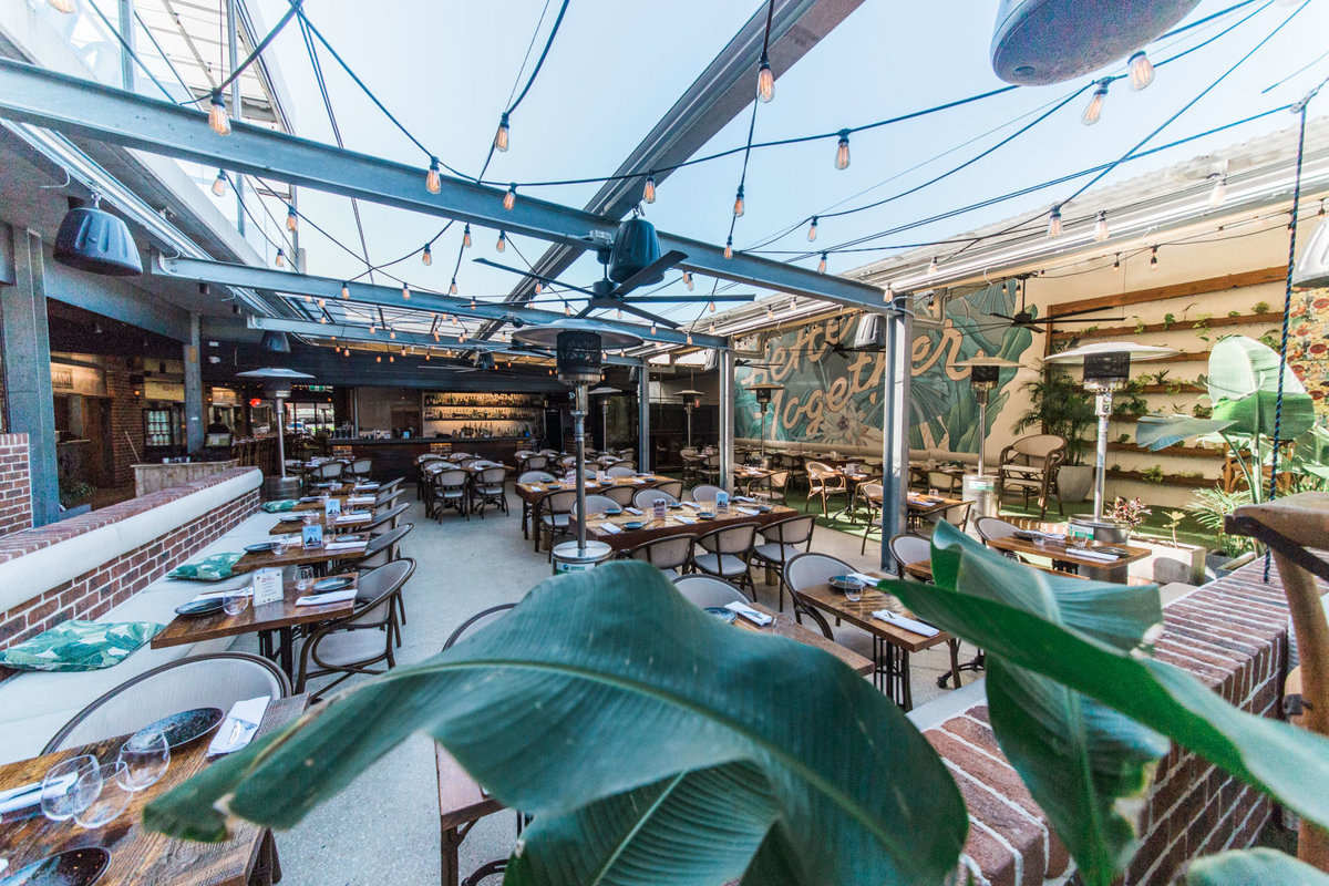 The Collective Palm Beach | Gold Coast Restaurants | Best Restaurants ...