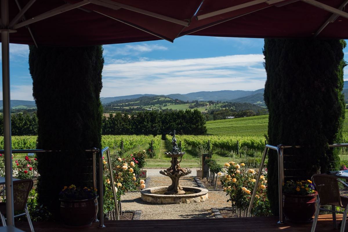 Tokar Estate Restaurant | Best Restaurants Near Me | Best Restaurants ...